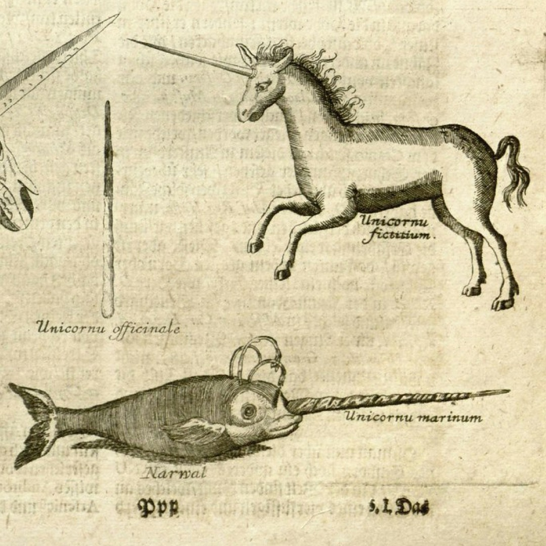 NARWHAL
